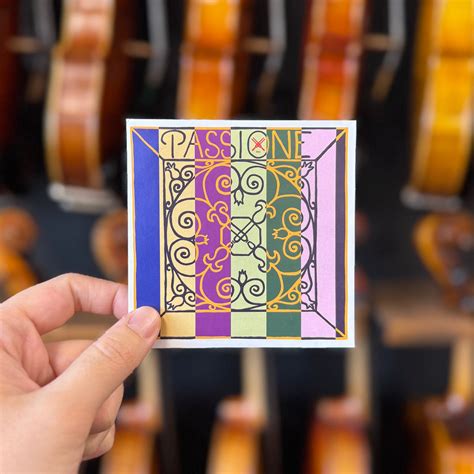 Passione Violin String Set 44 E Ball End