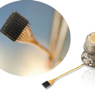 PDF Implantable Microelectrodes On Soft Substrate With Nanostructured Active Surface For