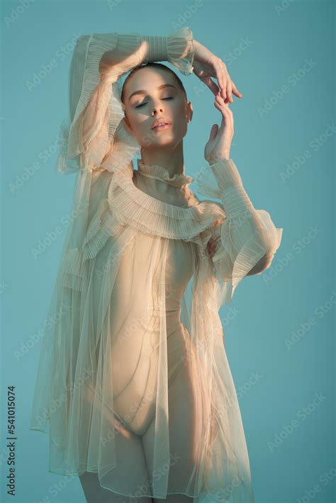 Sexy Model In Transparent Dress Stock Photo Adobe Stock