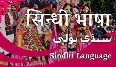 सिन्धी भाषा लिपि वर्णमाला शब्द वाक्य और इतिहास हिन्दी में