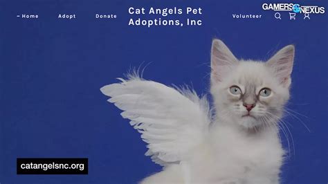 The Intel Problem Cpu Efficiency And Power Consumption Gamersnexus