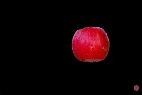 Image Processing Using MATLAB Background Removal Via Image Segmentation Threshold Technique