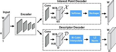 [pdf] superpoint self supervised interest point detection and