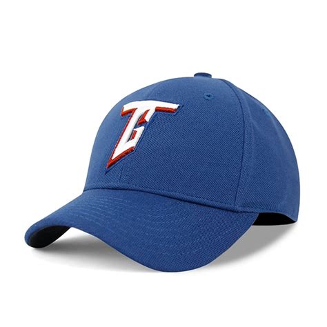 【cpbl】台灣犬 歐告 Team Taiwan 亞冠賽 藍 中華隊 12強 彎沿 全封帽【angel New Era】 蝦皮購物