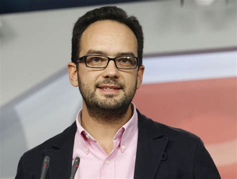 Antonio Hernando Alchetron The Free Social Encyclopedia