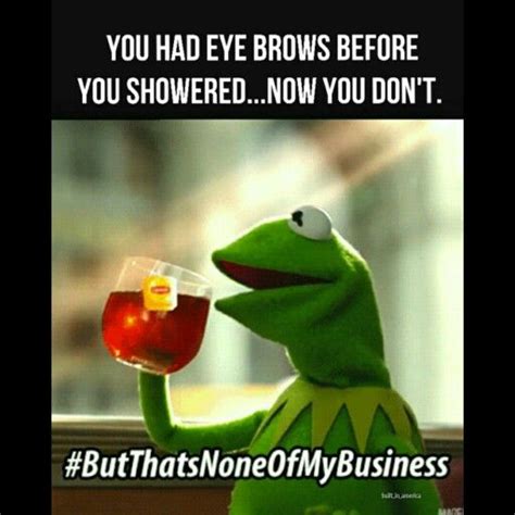 Kermit Eyebrow Memes