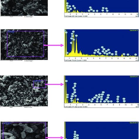 Sem With Edx Showing Elemental Distribution Within Samples Download