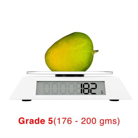 Alphonso Mangoes Buy Premium Devgad Mangoes Online