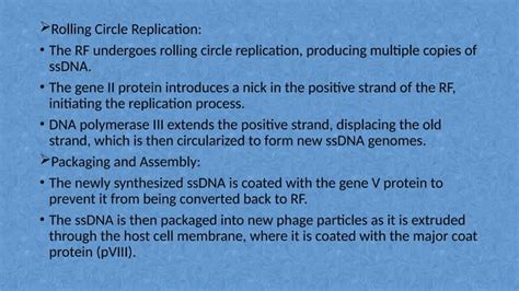 M13 Vector In Microbial Biotechnology Pptx Biotech And Biomedical