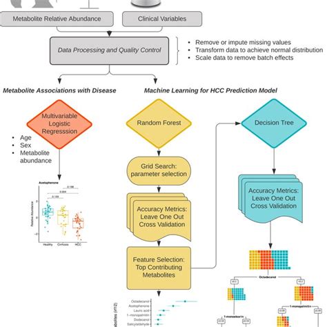 Workflow Diagram For Data Collection Processing Analysis And Download Scientific Diagram