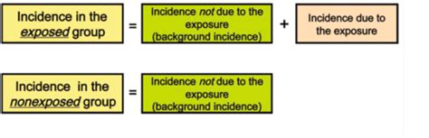 Lectures 1 4 Flashcards Quizlet