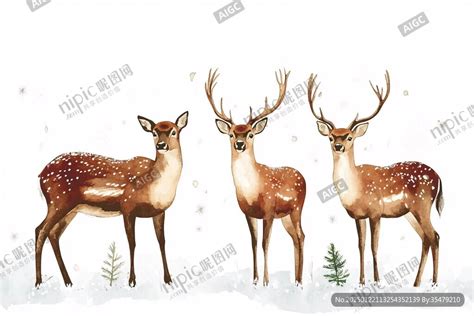 ai创作图手绘麋鹿插画 鹿茸插画手绘 手绘鹿插画 创意手绘梅花鹿插画 手绘梅花鹿手绘麋鹿 手绘鹿鸟插画 小鹿临摹 鹿茸插画 麋鹿花鸟插画 鹿茸