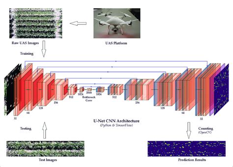 flow chart of a sorghum panicle detection and counting algorithm