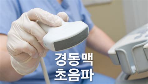 경동맥 초음파 검사로 알 수 있는 병 서민정보센터