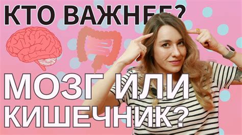 КИШЕЧНИК - ВТОРОЙ МОЗГ?! кто важнее: мозг или кишечник? - YouTube
