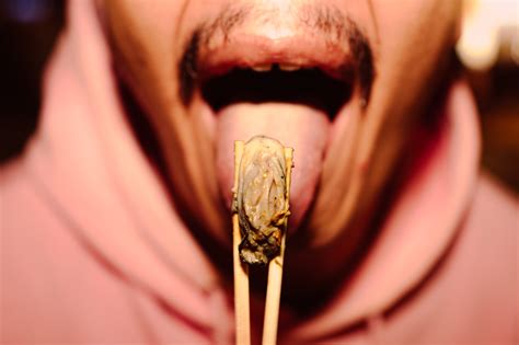 Sex Gender RICE Media