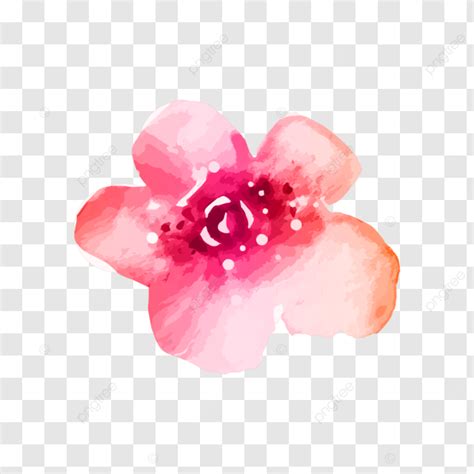 핑크 밝은 꽃 푸른 꽃 부시 식물 백합 벡터 꽃 플라워 꽃들 Png 일러스트 및 벡터 에 대한 무료 다운로드 Pngtree