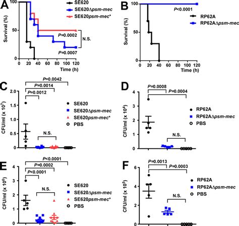 Mouse Sepsis Model Female 6 10 Weeks Old C57bl 6ncrl Mice N 5 For