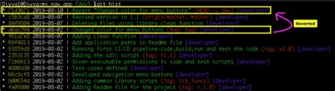 Git Bisect: How to identify a bug using Git Bisect | Edureka