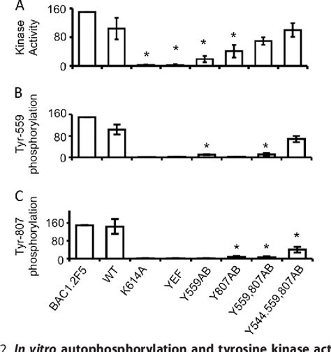Figure 1 From Macrophage Proliferation Is Regulated Through Csf 1 Receptor Tyrosines 544 559