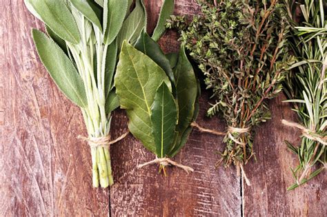 로즈마리와 바 질이 있는 소박한 배경에 자생 하는 향기로운 허브 0명에 대한 스톡 사진 및 기타 이미지 0명 꽃 식물 독일 Istock