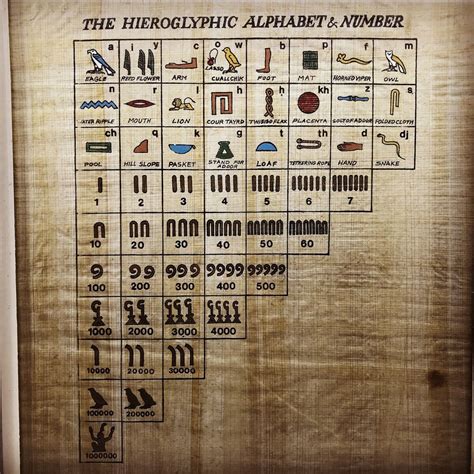 Egyptian Hieroglyphics Papyrus