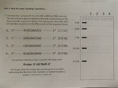 solved part 2 now for some probing questions 1 2 3 4