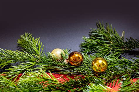 크리스마스 사진 전나무 가지와 크리스마스 장식의 보기 0명에 대한 스톡 사진 및 기타 이미지 0명 12월 가정 생활 Istock