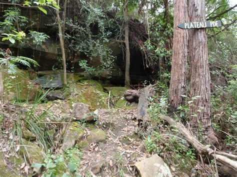 Plateau Pde Florabella Pass Loop Walking Track