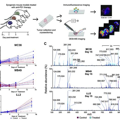 Desorption Electrospray Ionization Mass Spectrometry Desi Ms Analysis Download Scientific