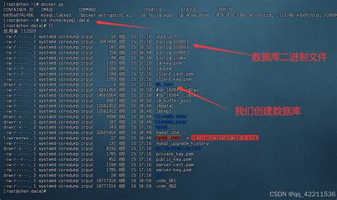 docker 安装软件 docker安装软件 csdn博客