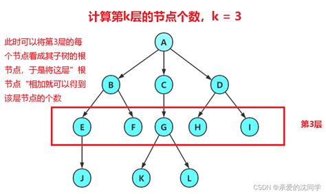 二叉树详解（c语言实现，带你彻底弄懂二叉树！） c语言二叉树算法示例代码 csdn博客