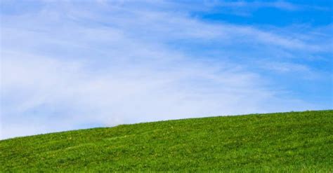 Jiten Motwani On Linkedin Windows Patches Can Be Forcibly Reversed Reopening Bugs