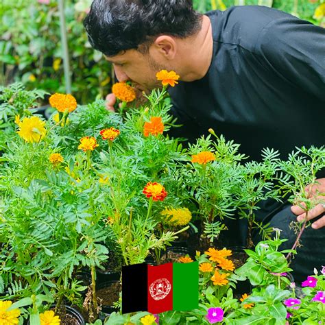 Darya برای نصب آپ دریا در تلیفون های اندروید خود رهنمایی زیر را تعقیب