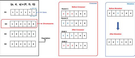 An Illustration For Population Chromosomes Genes Crossover And Download Scientific Diagram