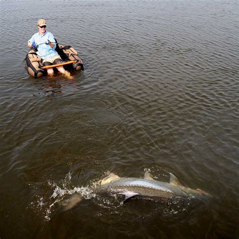 Daniel Göz Midcurrent