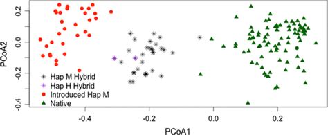 principle coordinates analysis plot of 183 p australis individuals