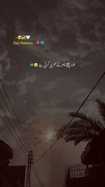 Everyone Say Ameen😇🌸💖asthetic Foryou Foryoupage Poetry Poetrystatus Grow Account