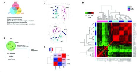 Correlation Analysis Of The Transcriptomes Obtained From Bovine Ivf