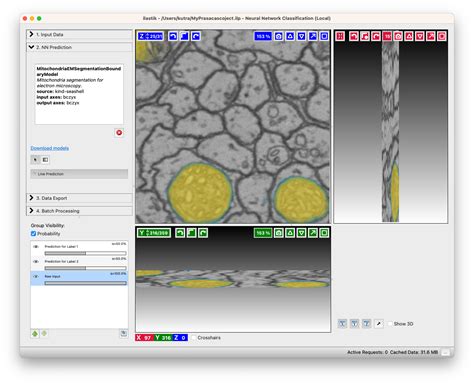 wrong segmentation using nn prediction · issue 2701 · ilastik ilastik · github
