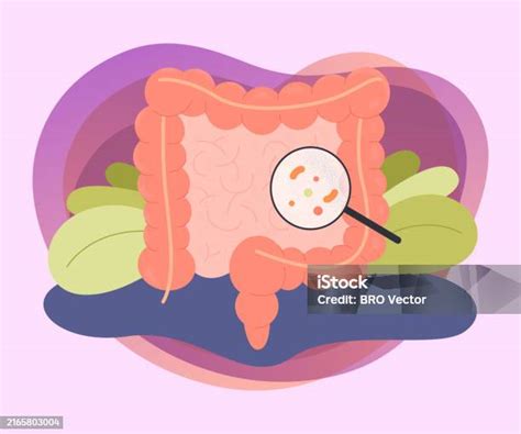 Ilustración De Lupa Que Muestra Las Bacterias En El Intestino Y Más