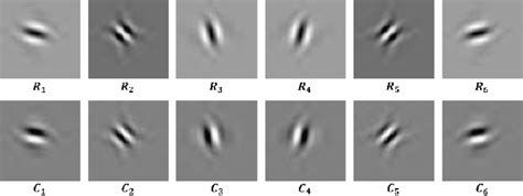 figure 1 from iris features extraction using dual tree complex wavelet