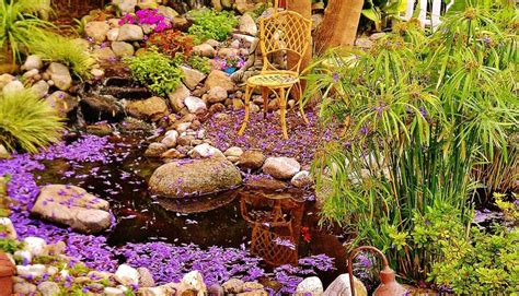 Enviroscape La Landscape Design