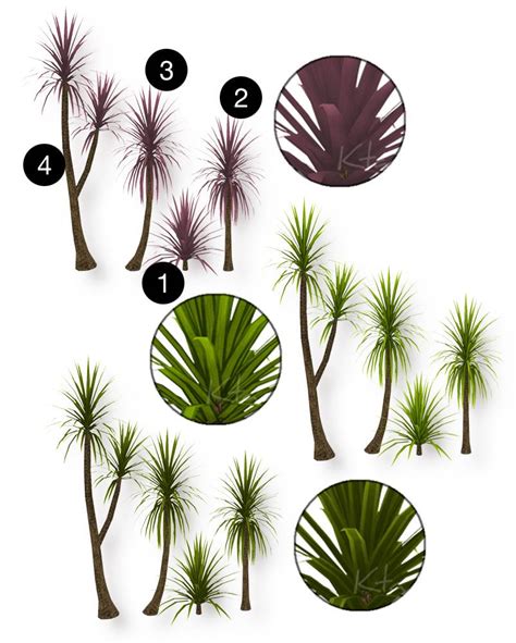 [kta] Plants Set 1 Cordyline Australis Gallery The Sims 4 Build Buy Curseforge