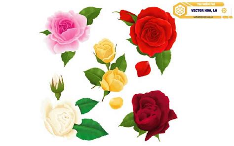 111 Vector Hoa Lá Tải Miễn Phí Vector Hoa [png Psd Vector]