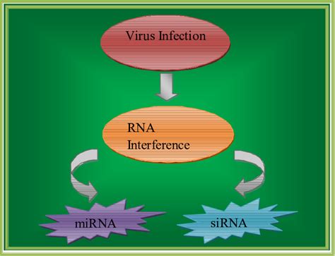 1 Small Rna In Host Mediated Rnai Response Upon Virus Infection Host