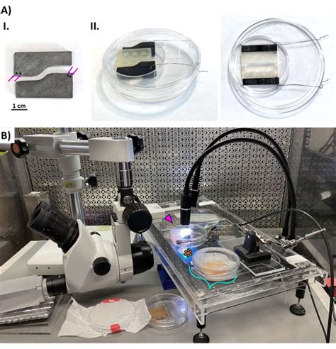 designing a bioreactor to improve data acquisition and model the