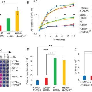 Download Scientific Diagram