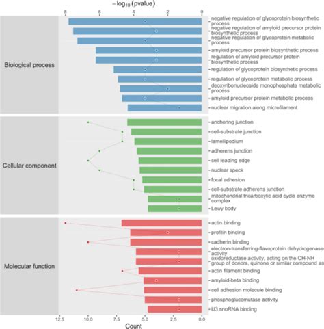 Enriched Go Terms Of The Deps Upon Si Neat1 And Si Nc Transfection In