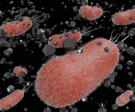 T7 Bacteria Stock Illustrations 5 T7 Bacteria Stock Illustrations